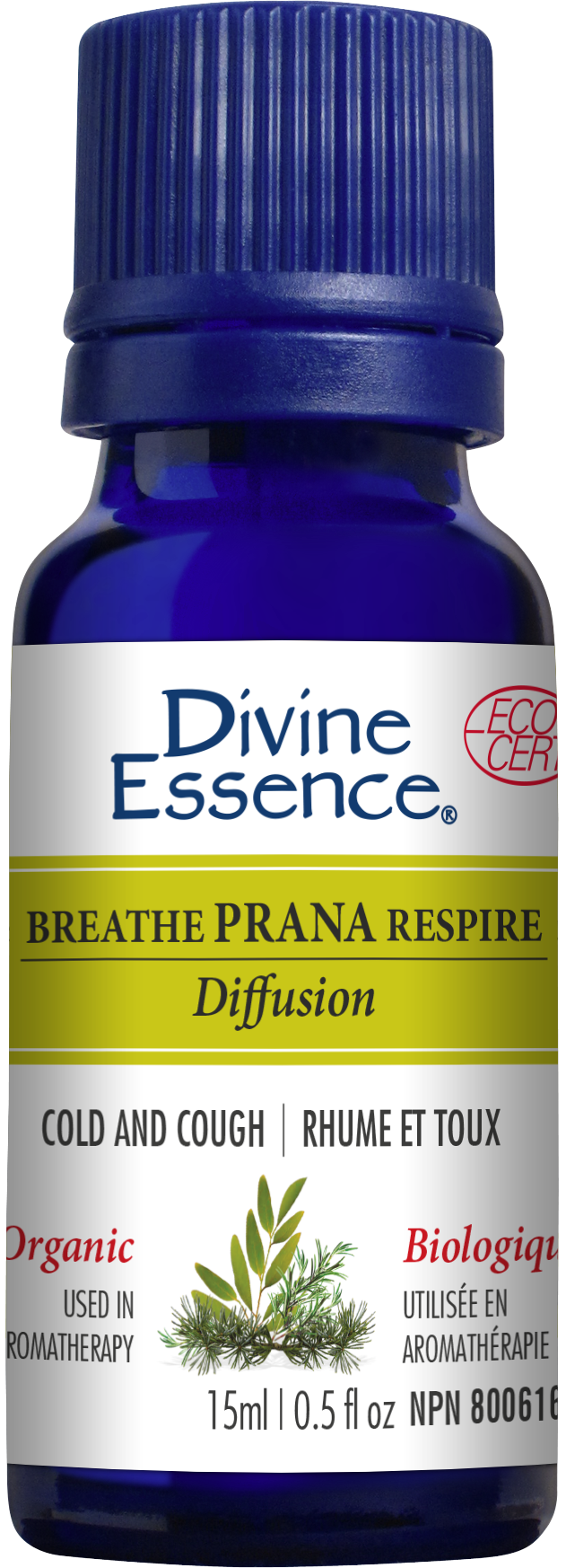 Nouveautés Divine Essence